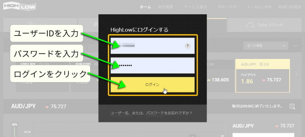 HLMI Ltd（旧ハイローオーストラリア／HighLow）